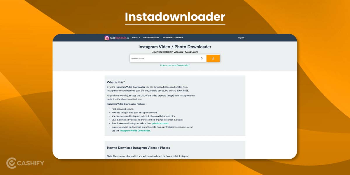 Video Downloading For Instagram- Top 10 Sites to Download Any Instagram ...