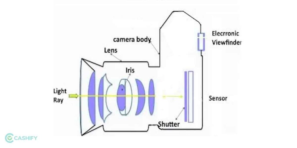 Mirrorless Vs DSLR Camera: Let’s Understand The Differences! | Cashify ...