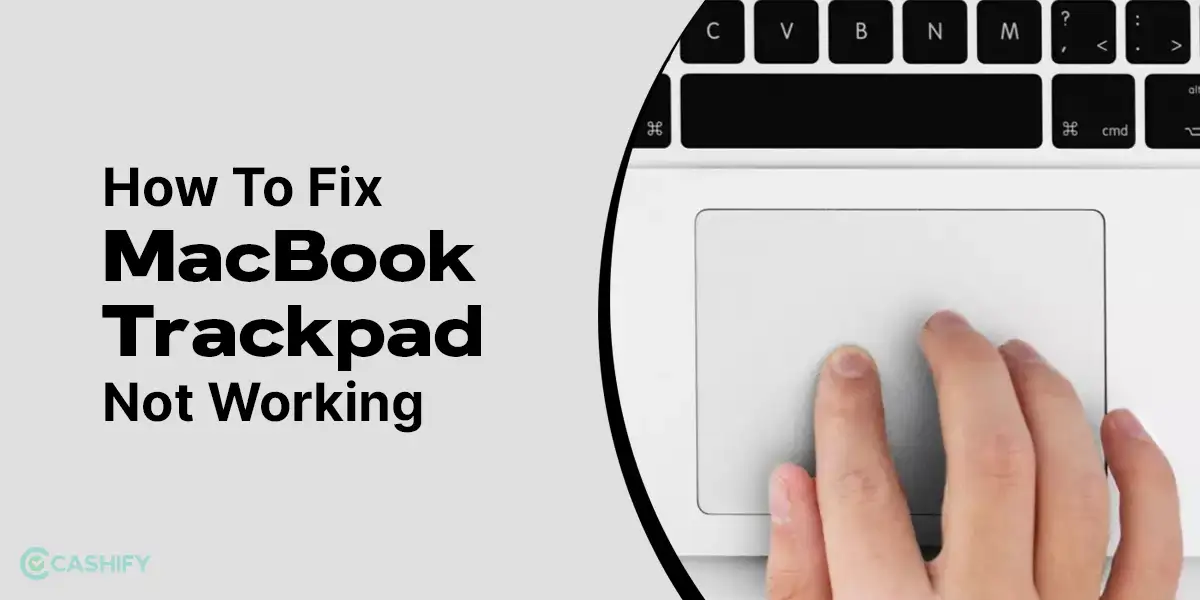 8 Ways To Fix MacBook Trackpad Not Working | Cashify Blog