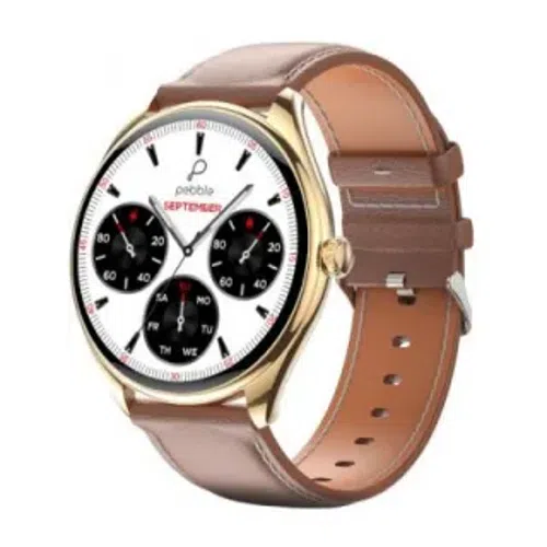 Pebble Royale Legend - Price in India, Specifications & Features ...